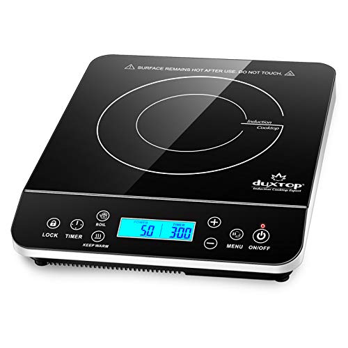 Induction Cooking Plates: Top Portable Hot Plates for Efficient Cooking